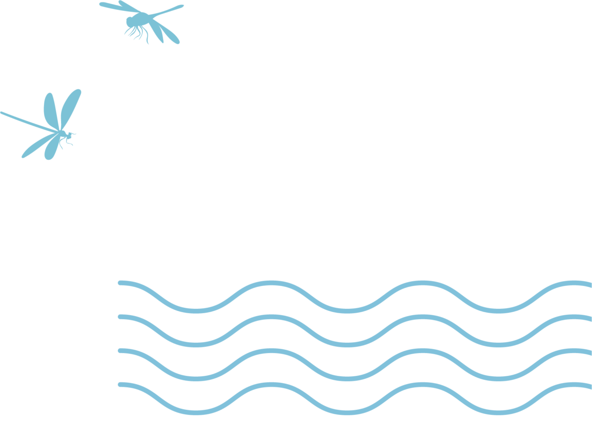 Advocating for a Clean Milwaukee River Basin - Meet MRK